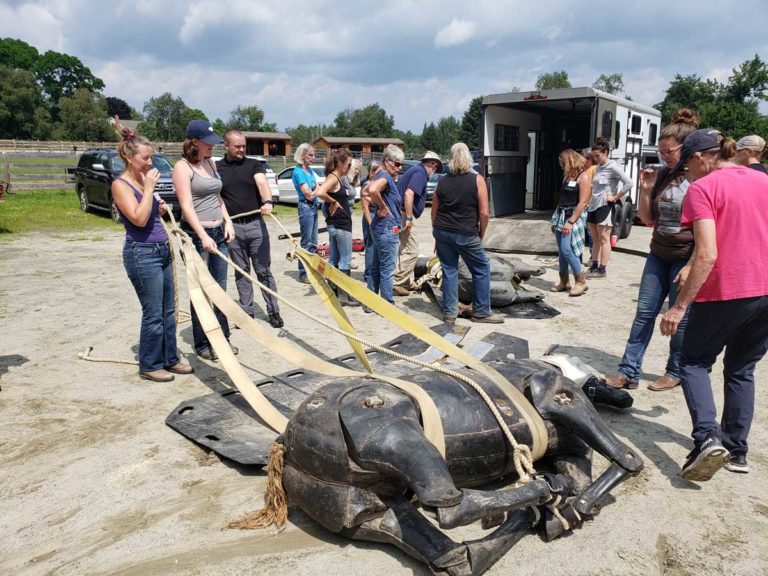 Large Animal Rescue Training - Sign ups are open - APRIL 25, 2026 ...