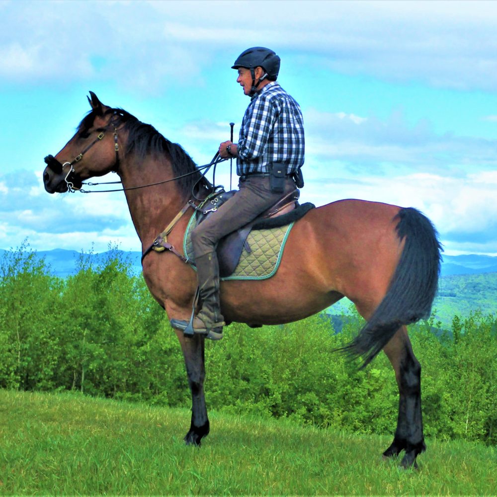 Equine Industry Summit - Vermont Horse Council