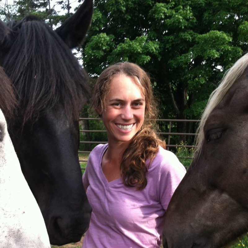 Equine Industry Summit - Vermont Horse Council